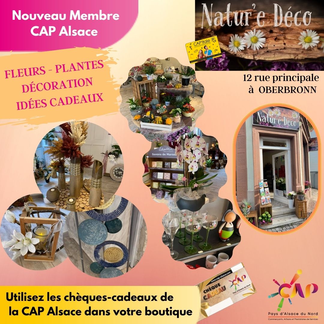 Adhérent : NATUR'E DECO| La CAP Alsace